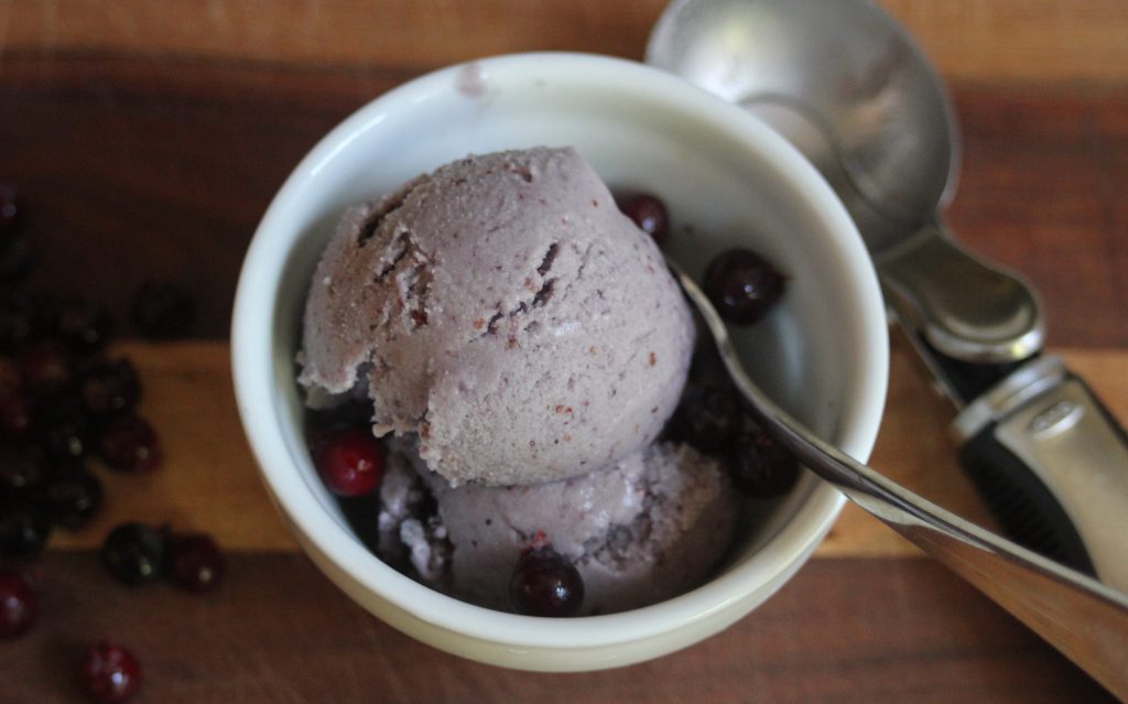 Urban Foraging: The Delicious Serviceberry - The Planted Runner