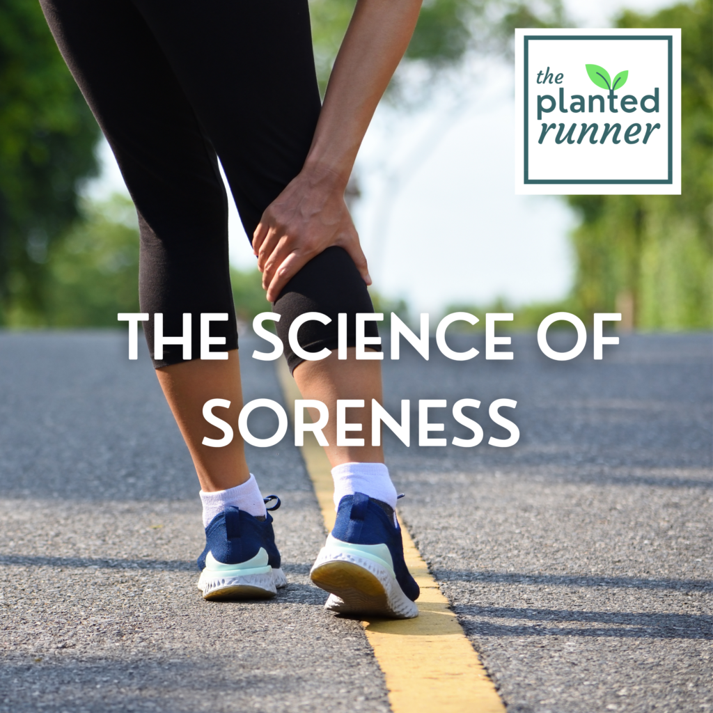 The Science of Soreness: You Don’t Need to Get Sore to Build Strength ...